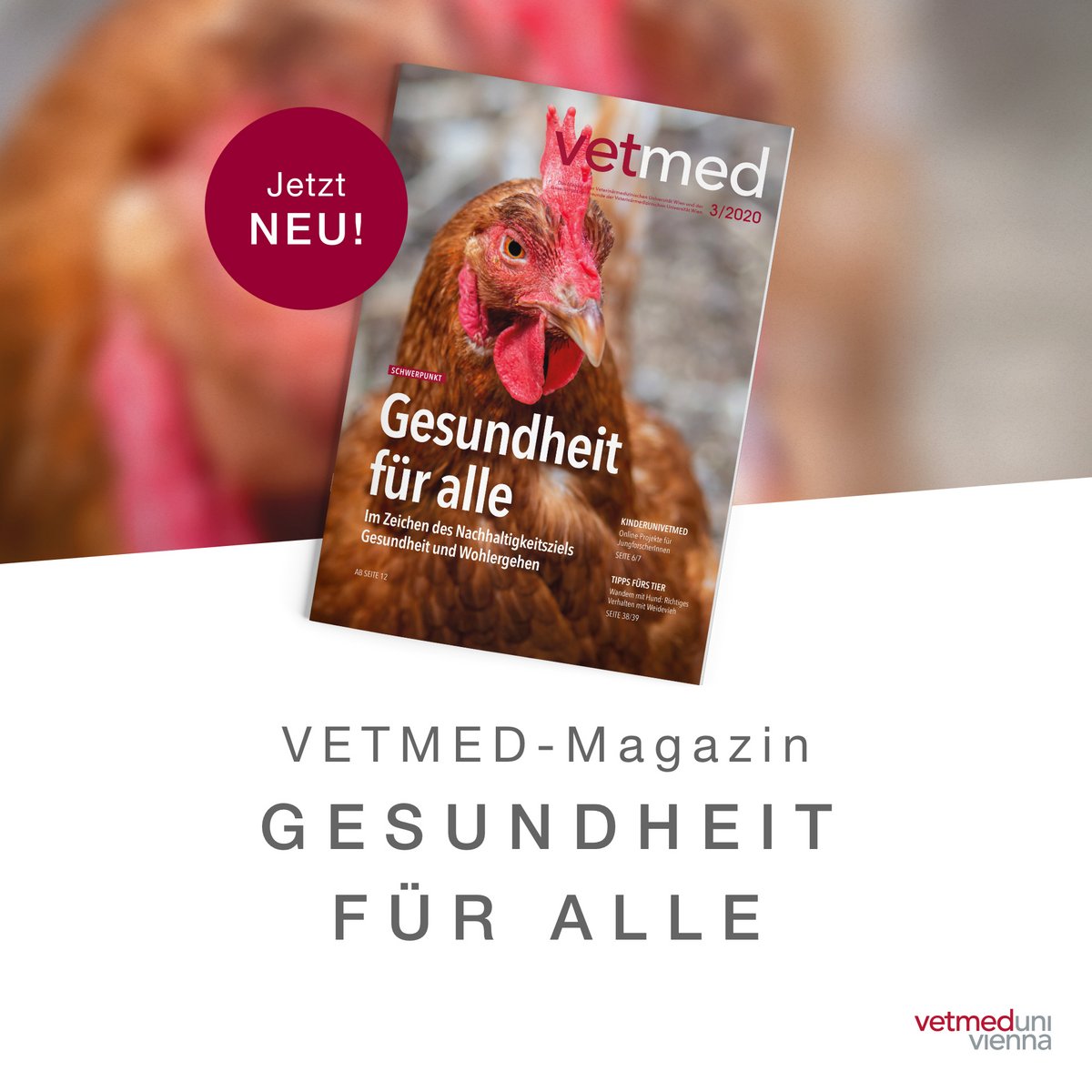 Vetmeduni : Neu: VETMED – Das Magazin 03/2020