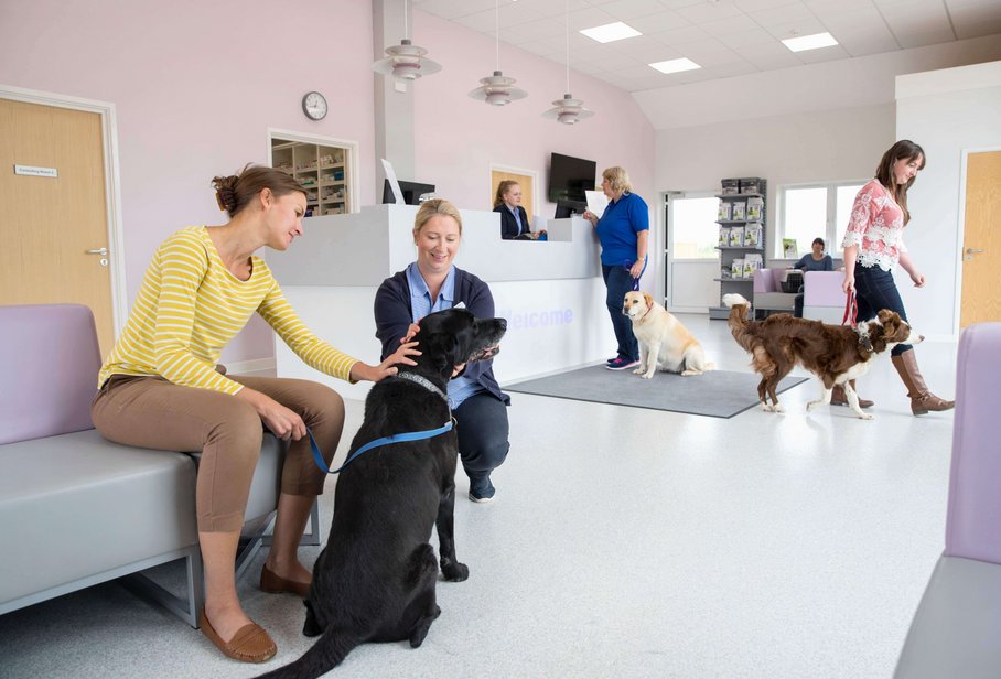 Vetmeduni: Kleintierklinik