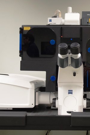 Vetmeduni: Zeiss LSM 880 – confocal laser scanning microscope