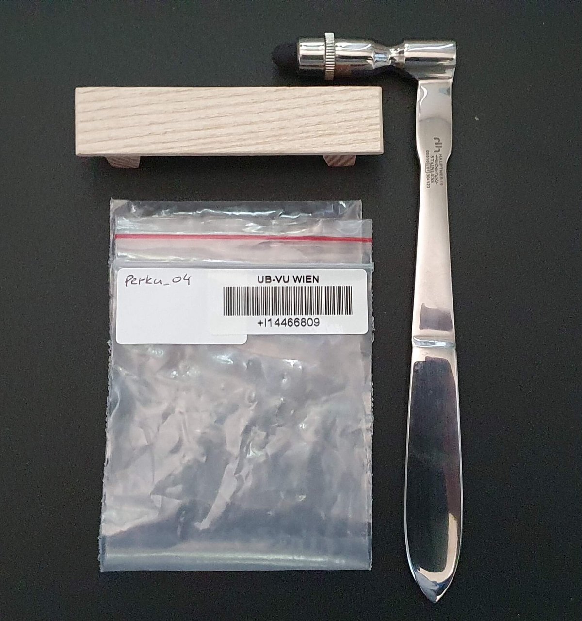 Vetmeduni : Perkussionshammer mit Plessimeter