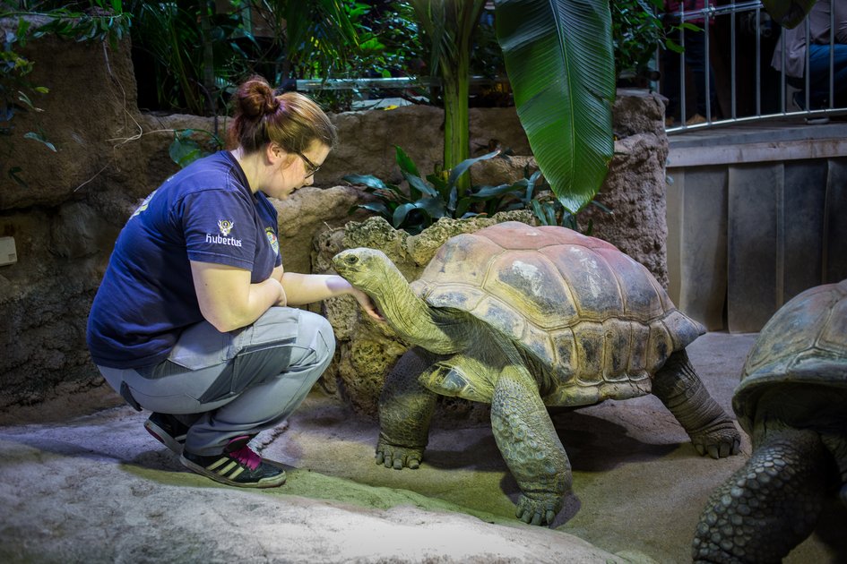 Vetmeduni : Von TierpflegerInnen, tierärztlichen Ordinationsassistenzen ...