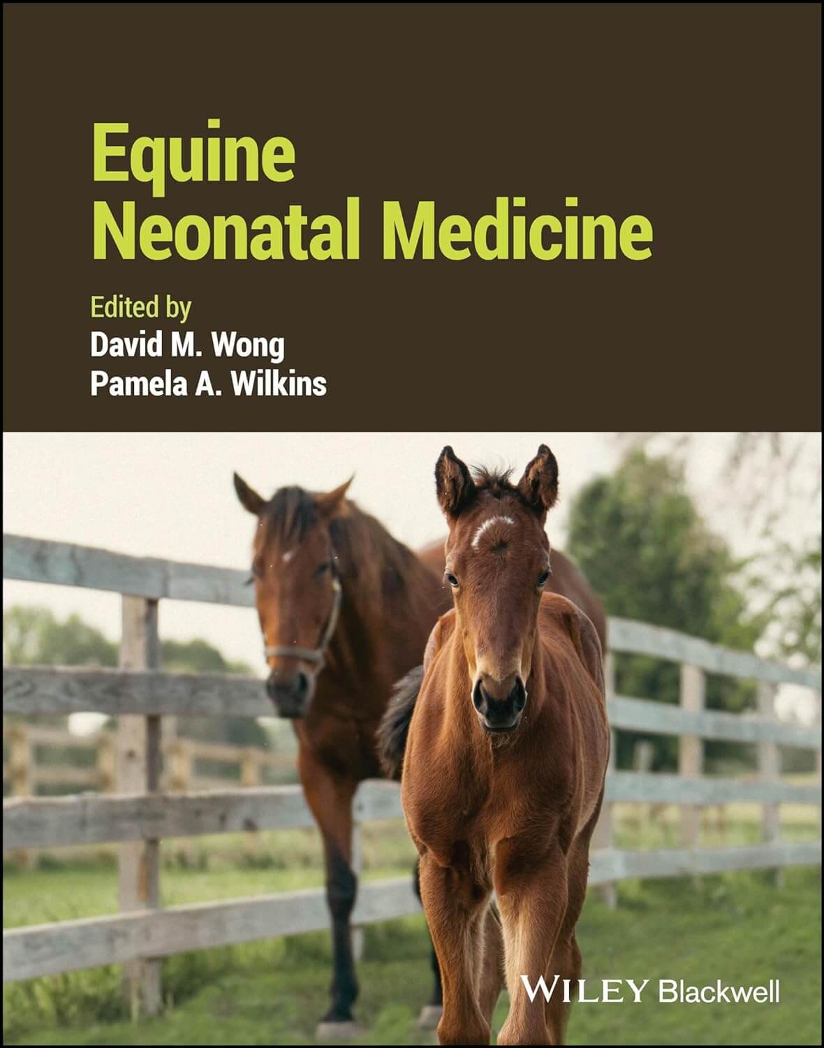 Vetmeduni : Neues e-Book „Equine neonatal medicine”