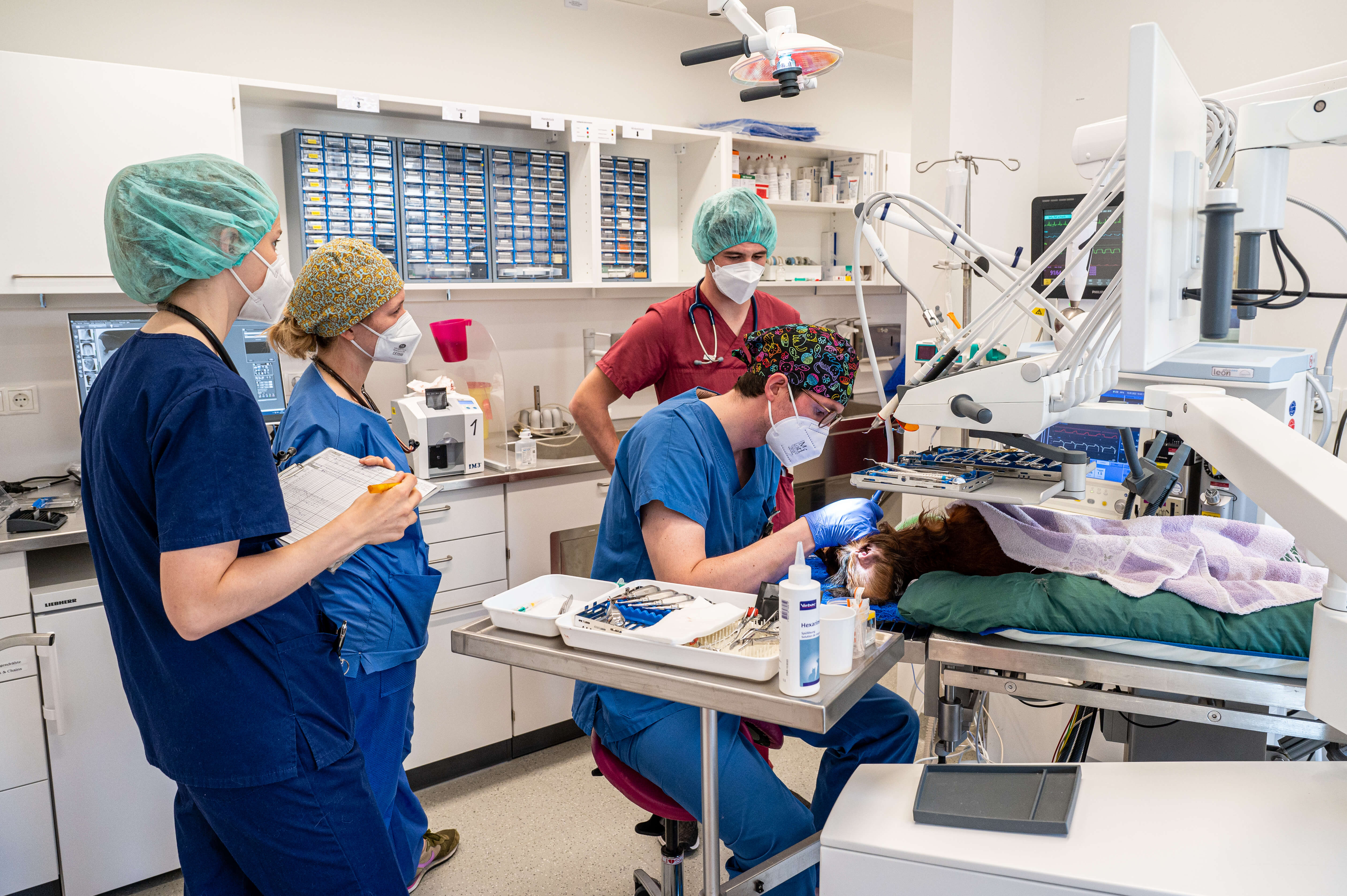 Vetmeduni : Universitätsklinik für Kleintiere: Ein Tierspital für die ...
