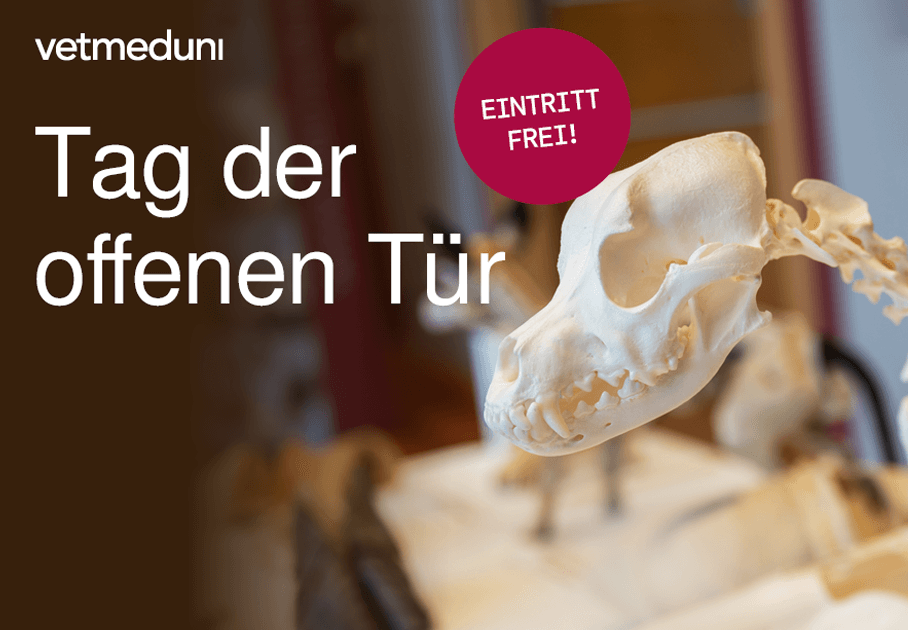 Vetmeduni : Tag der offenen Tür 2025